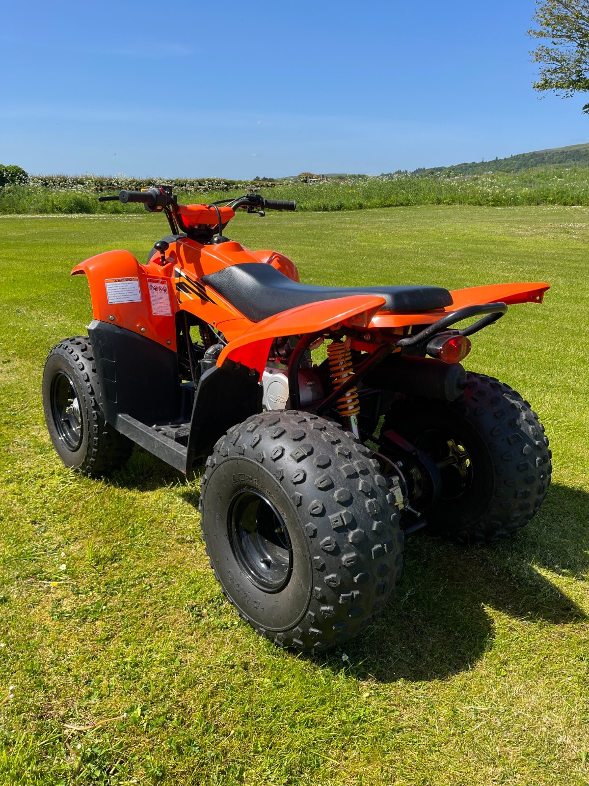 SMC Hornet 100cc Quad Bike | eBay UK