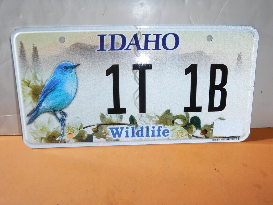 Idaho wildlife bluebird license plate at least three years old 1T 1B | eBay