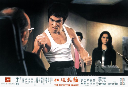 Bruce Lee, Nora Miao, Ping Ou Wei, Jon T. Benn - The Way of the ... - 8 1/2 X 11 | eBay