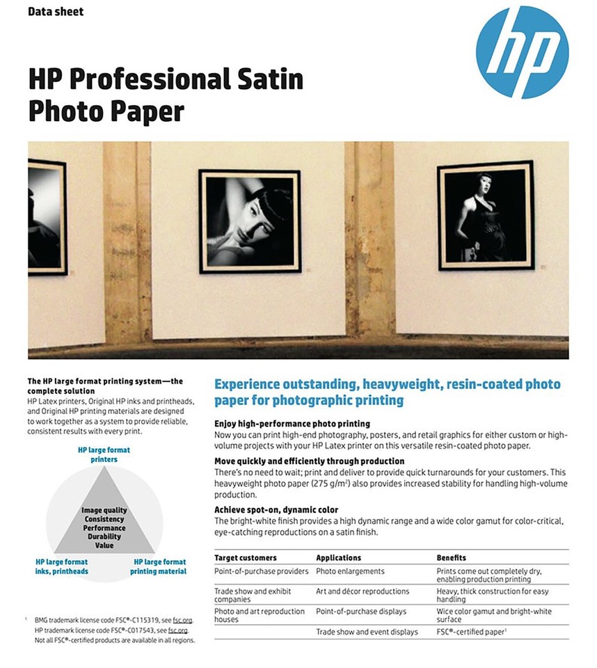 National Geographic World Executive Wall Map Poster Print, World Map ...