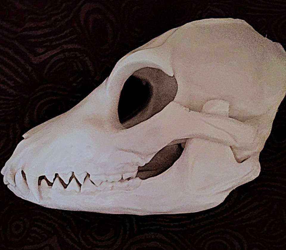 Fox Skully V4 Advanced Wearable Skull Mask Costume Skulldog Fursuit ...