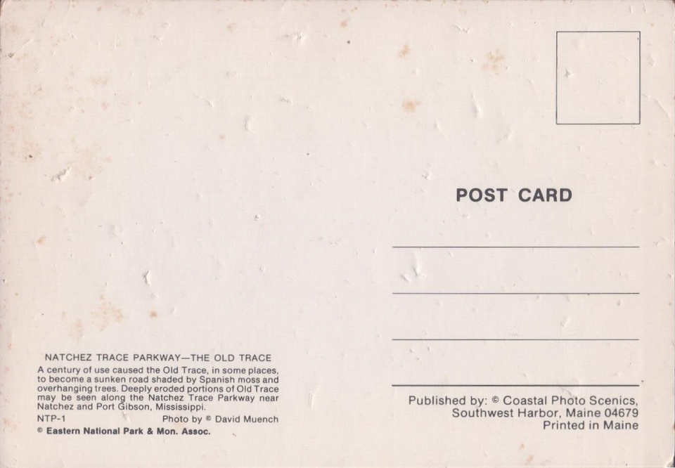 VINTAGE Postcard NATCHEZ TRACE PARKWAY Eastern Nat'l Park & Monument ...