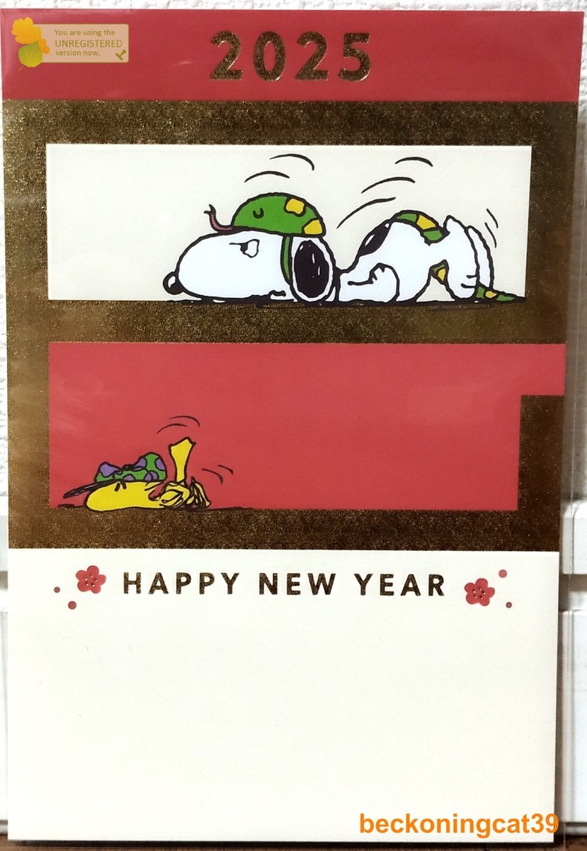Snoopy Snoopy Happy New Year | Films Etc.