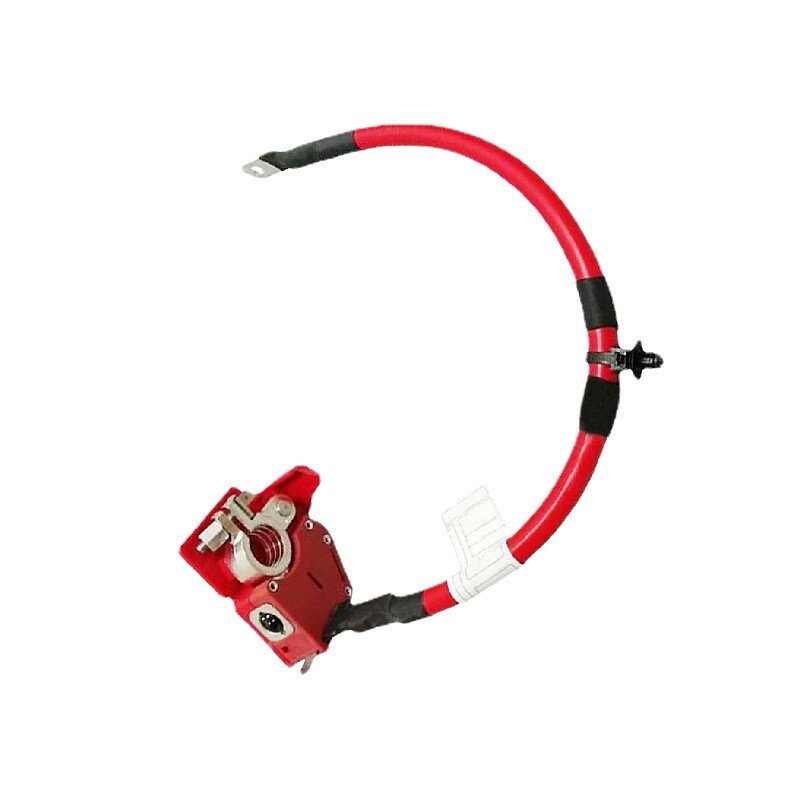 61128796155 61128796959 Positive Battery Cable Plus Pole For BMW 3 ...
