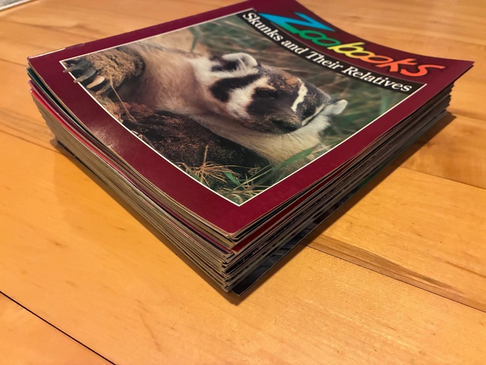 Zoobooks Magazines - 45 Issue Lot Set - RARE - Wildlife Stories ...