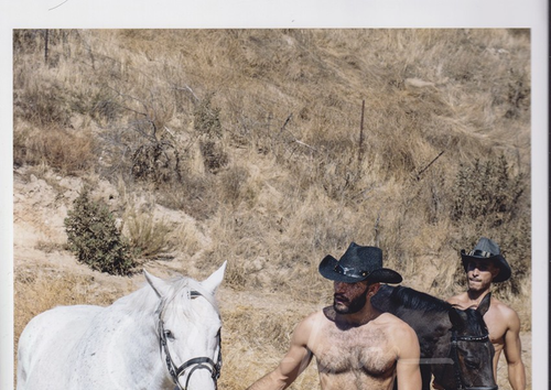 Alan Lyon Original Male Photo gay interest (25) Alex & Mick horse ranch ...