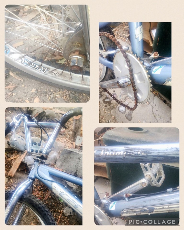 Complete TRICK 2001 GT Thumper BMX minus The Frame | eBay