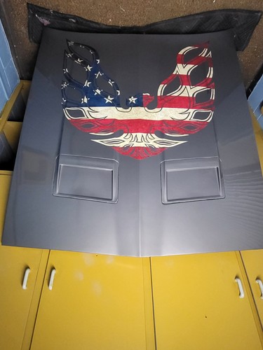 Pontiac Formula Hood ! Fits Firebird, Trans Am 78 -81' Excellent ...