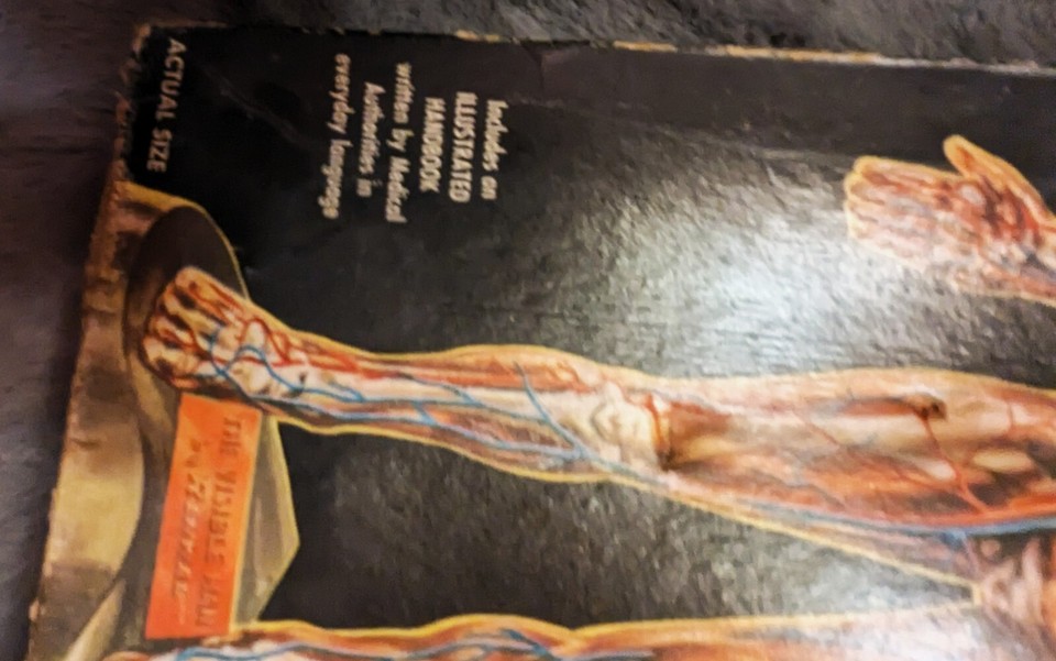 Vintage Renwal The Visible Man Model Kit As Is | eBay