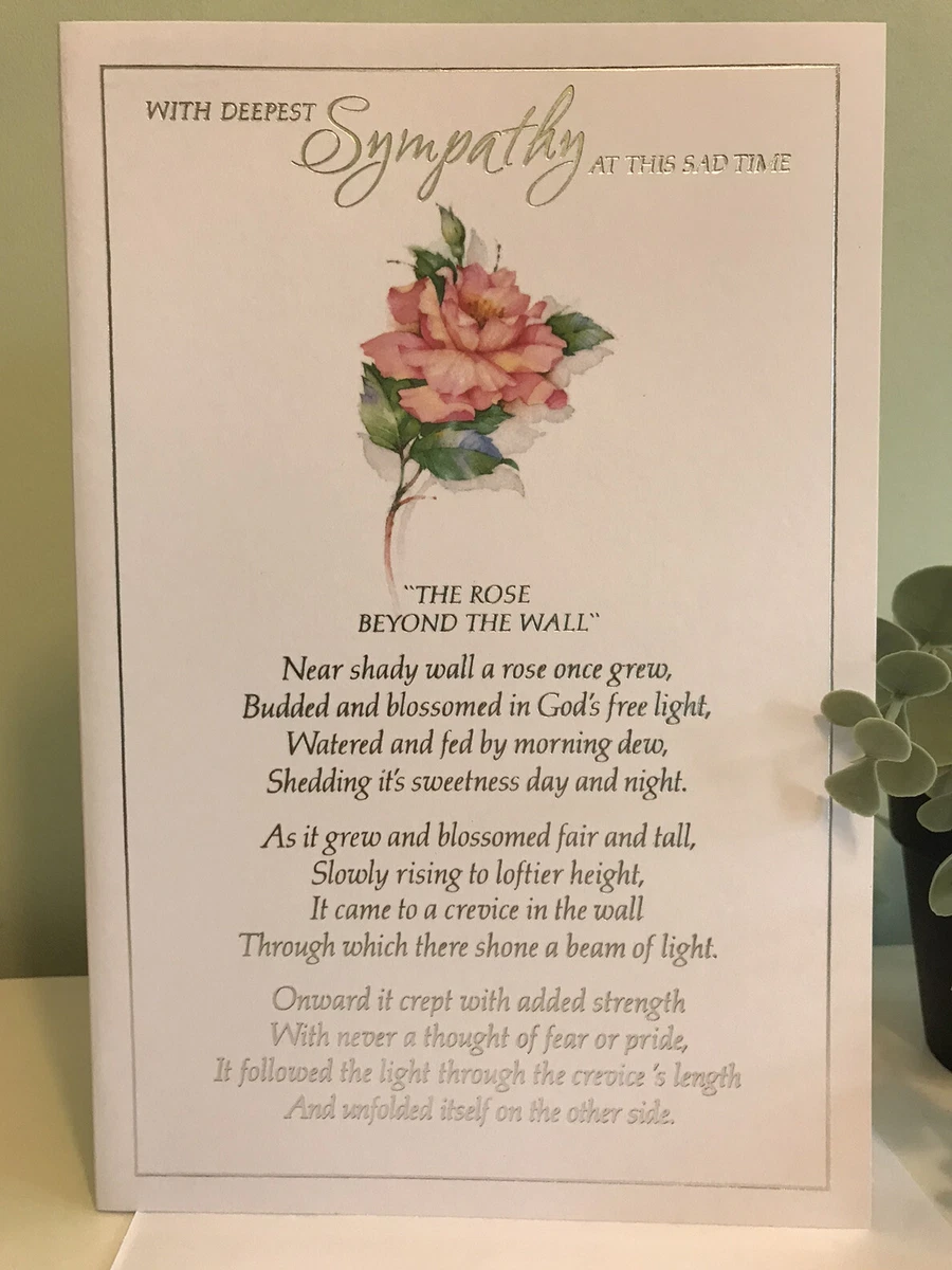 The Rose Beyond Garden Wall Poem | Fasci Garden