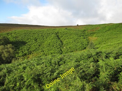 Photo 6x4 Head of Cwm Bwchel Llanthony Bracken with scattered scrub and ...