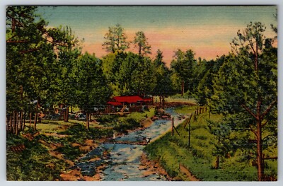 Rio Ruidoso The Noisy River Scenic Rustic Cabins New Mexico NM Postcard ...