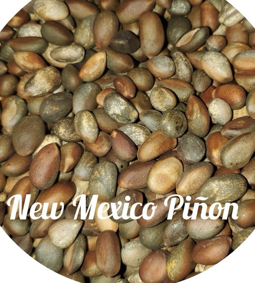 New Mexico Piñon | Pinyon | Fresh New Crop | Harvest 2024| 6 Pound | eBay