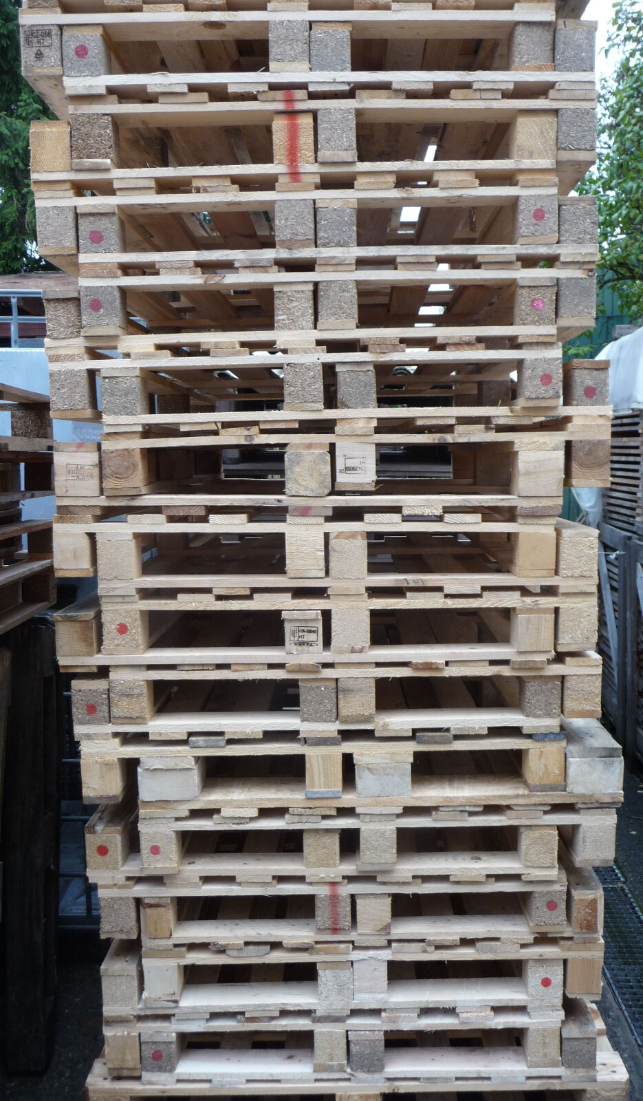 Einwegpalette 1200 x 1000 mm, Einwegpaletten, Holz Paletten Palette 120 ...
