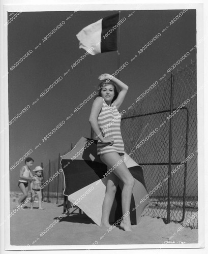 o1665 1963 orig photo sexy Liliane Brousse striking a pose at the beach ...