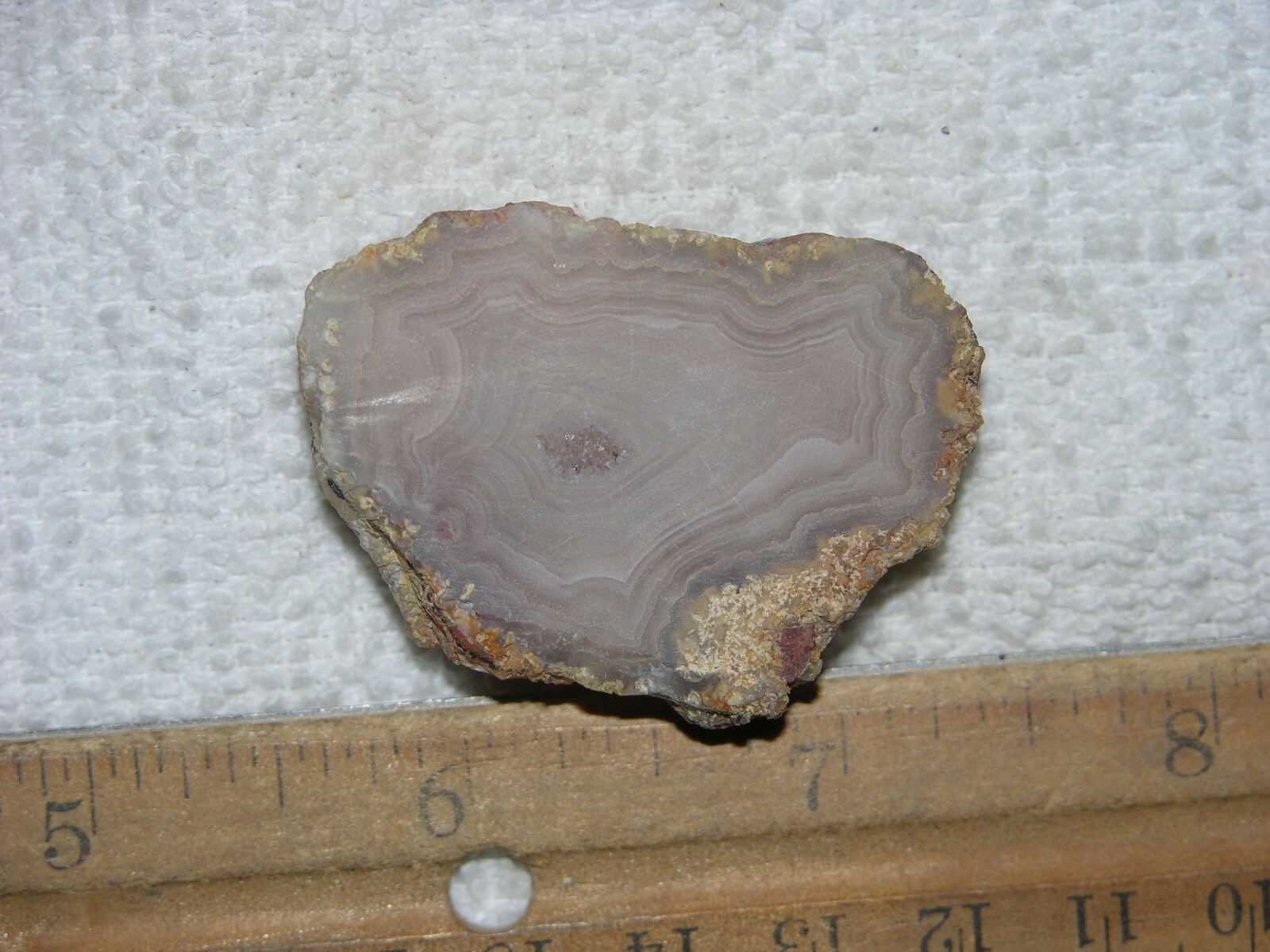 Laguna agate geode cut and polished Mexico 1 x 1 1/2 inch G278 | eBay