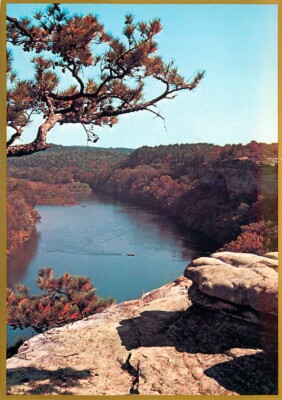 Postcard White River Scene in the Arkansas Ozark Mountains | eBay