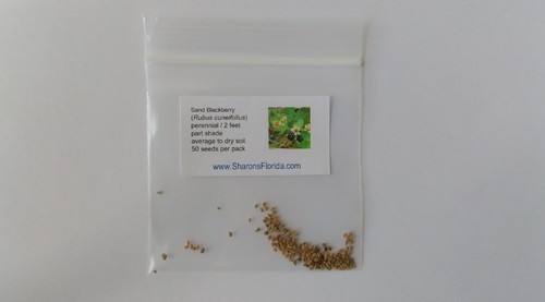 Sand Blackberry Seeds (Rubus cuneifolius) 50 Seeds | eBay