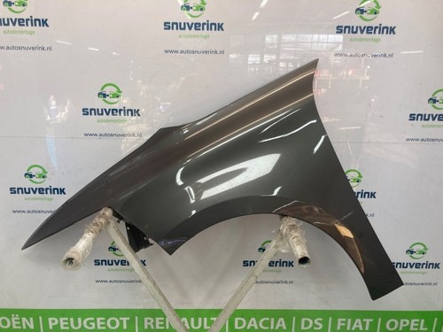 PARAFANGO ANTERIORE SX Citroën C4 Picasso (3D/3E) 2015 1612021980 | eBay