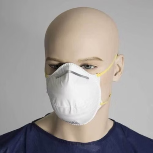 P1 Dust Mask (Carton of 240 Masks) | eBay Australia