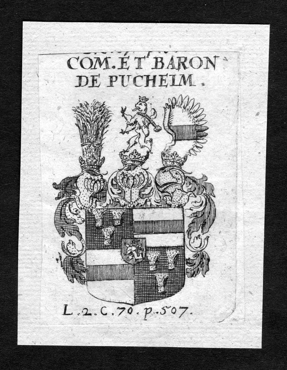 1750 - Puchheim Coat of Arms Heraldry Copper Engraving | eBay UK