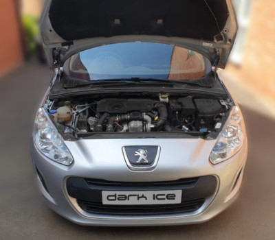 Peugeot 308 mk1 2007-13 Bonnet Hood Gas Strut Lifter Kit UK MADE | eBay UK