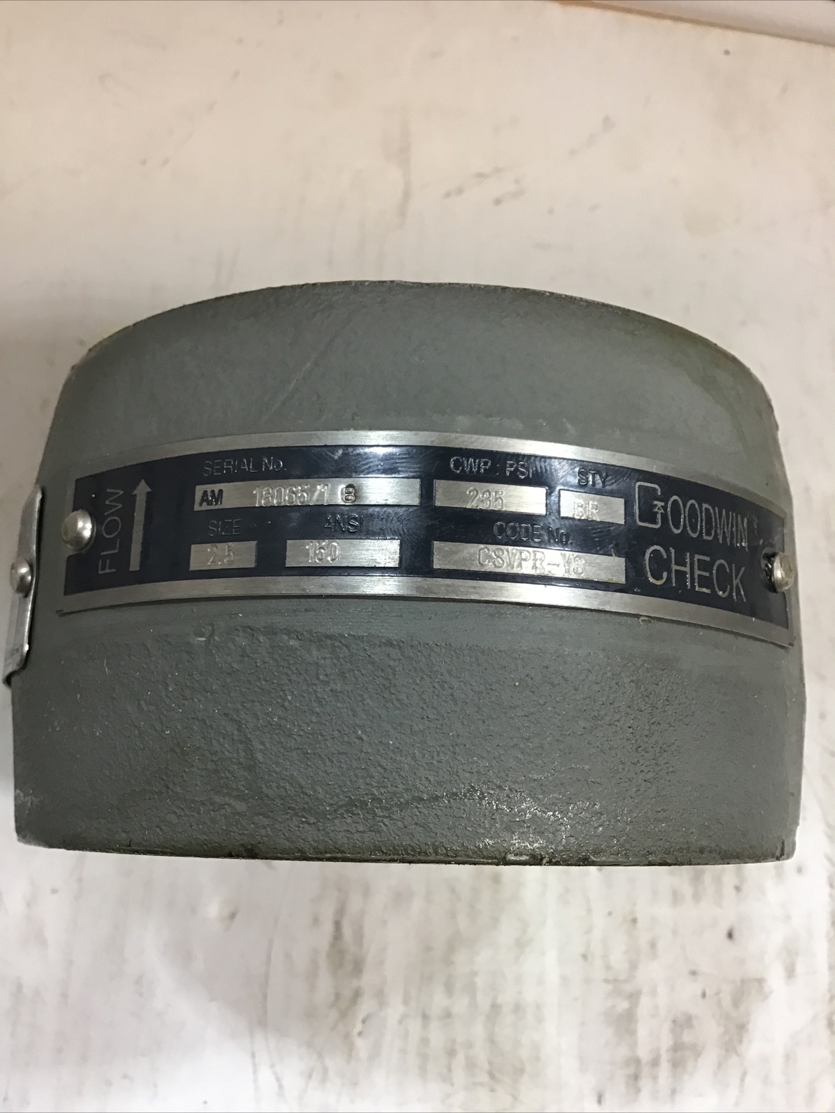 Goodwin Check Valve 2.5” CWP 285 Psi ANSI 150 | eBay