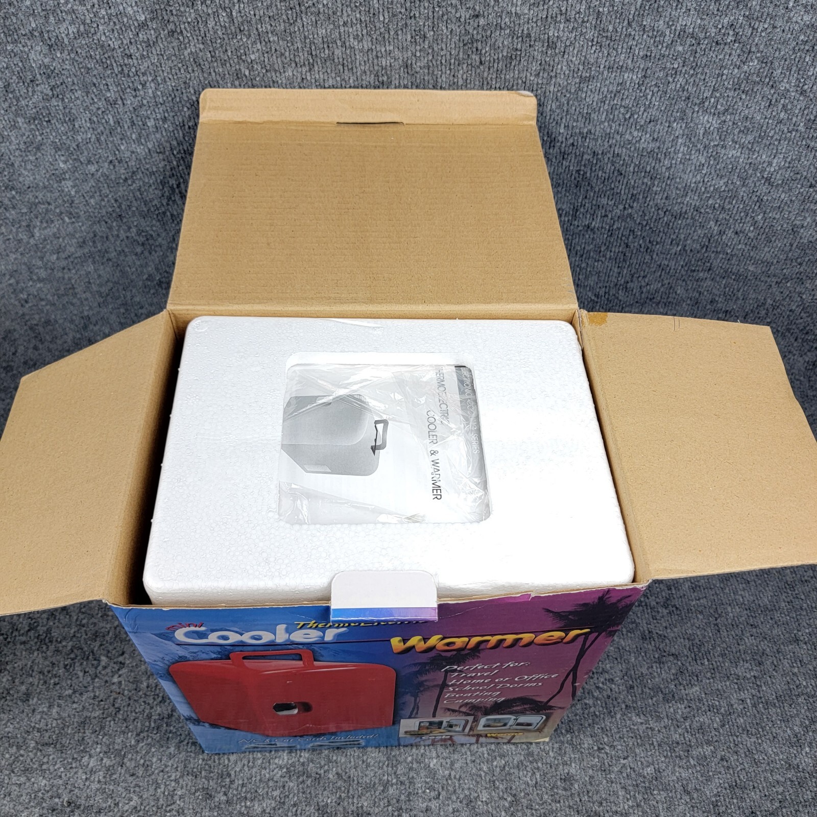 Mini Travel Cooler 4 Liter/6 Can AC/DC Portable Thermoelectric Cooler ...