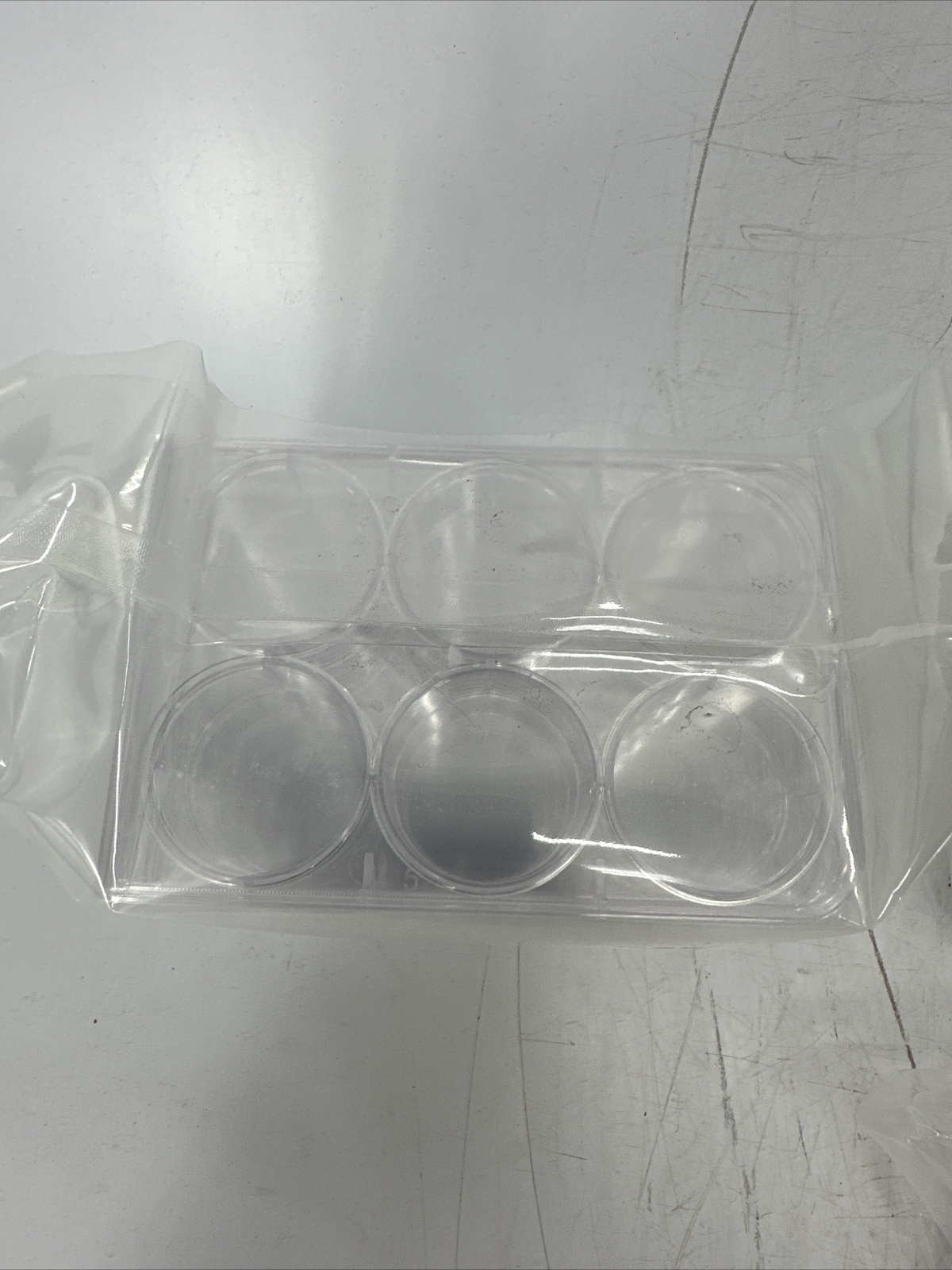 Qty 20 Costar 3335 Multiple Well 6-Well Plate w/ Lid Corning CellBind ...