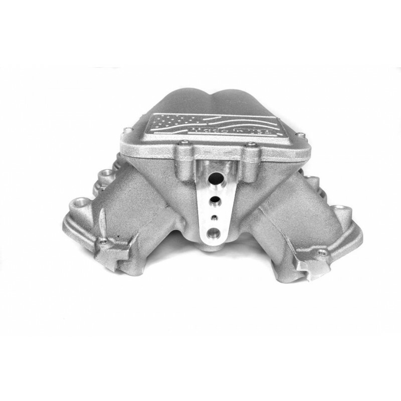 BTR Equalizer Intake Manifold & Fuel Rail Cathedral Port LS1 LS2 4.8 5. ...