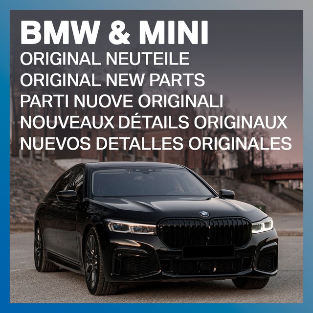 BMW X6 E71 Frontscheibe links Tropfleisten 51317250403 neues echtes ...