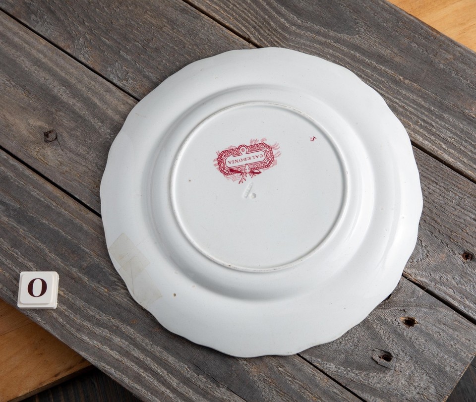 Adams Caledonia Scotsman/Deerhound Hunt Scene Transferware 9.25" plate ...