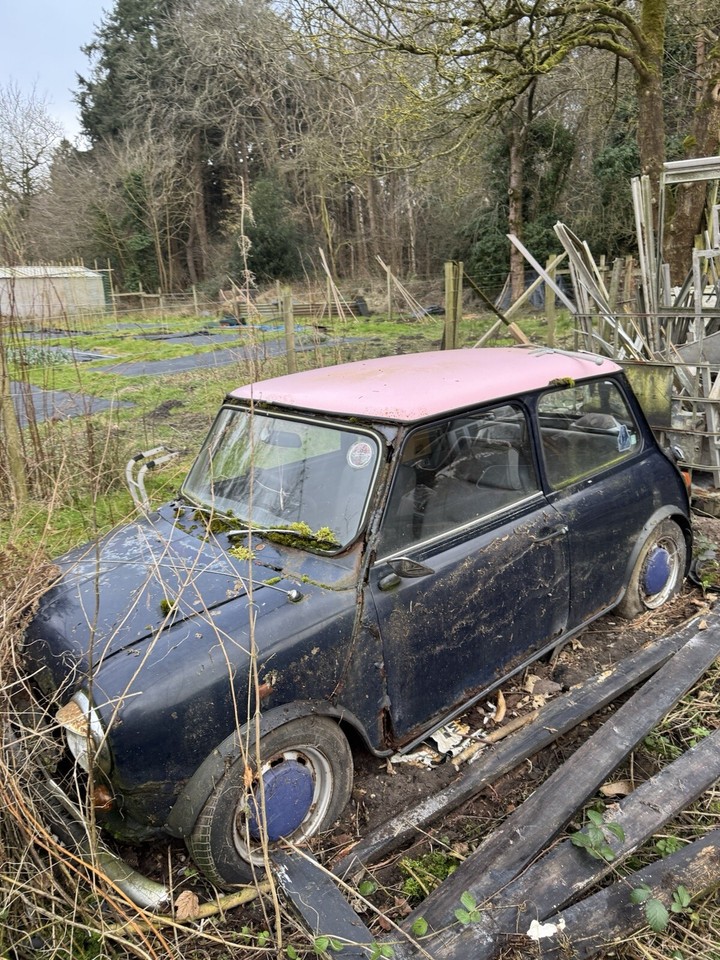 Classic Mini Project | eBay