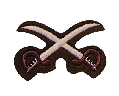NEW COLOUR OFFICIAL PTI CROSSED SWORDS BADGE (Army | eBay UK