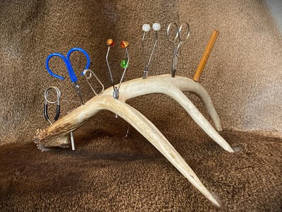 Taxidermy - Whitetail Deer Antlers