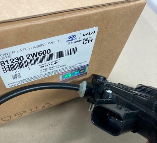 OEM 812302W600 Rear Tail Gate Power Latch For Hyundai Santa Fe Sport 13 ...