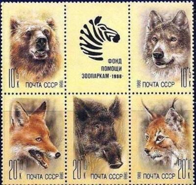 👍 RUSSIA/USSR = zoo ANIMALS MNH WOLF, BIG CATS, BEARS💲FREE SHIPPING💲💲 ...