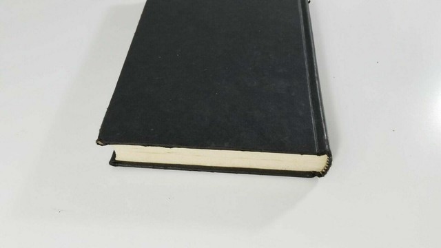 A Million Dollar Baby by Phillip Van Rensselaer (1979, Other) for sale ...