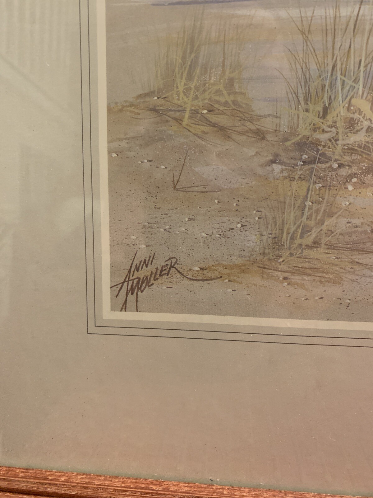 Wild Ducks - Anni Moller Framed Art Print Picture | eBay