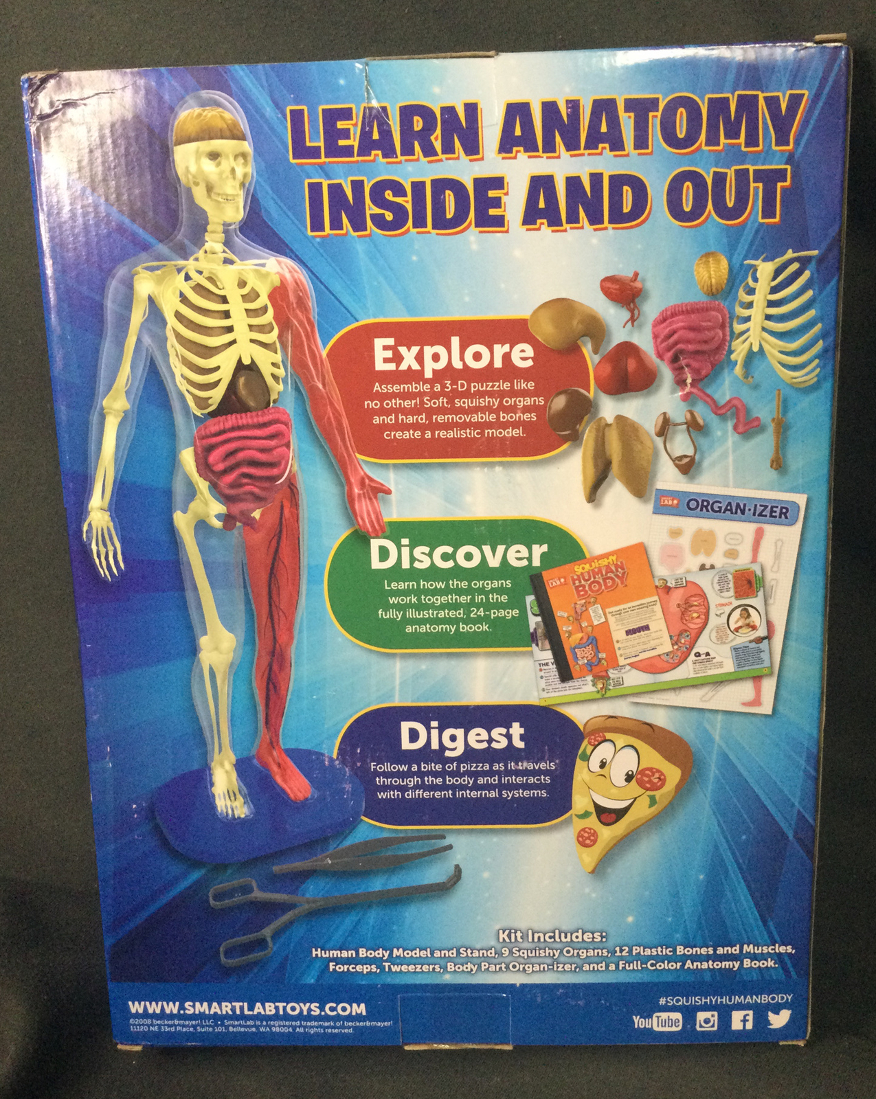 SmartLab Squishy Human Body + Anatomy Book New in Box Education ...
