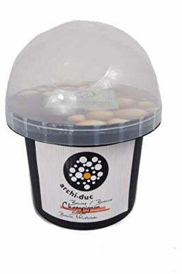 Mushroom Growing Kit - Brown Button Mushroom Grow Kit | eBay