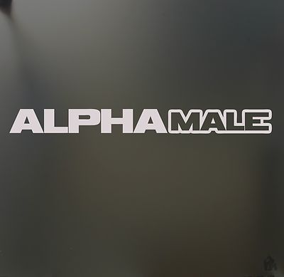 alpha male Sticker JDM slammed stance Funny drift lowered car window ...