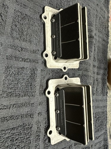 Polaris Xc 440 500 600 V Force Delta 2 Reeds | eBay