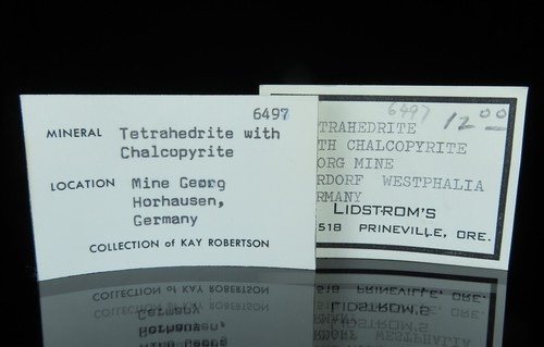 TETRAHEDRITE and Chalcopyrite * Georg Mine, Germany, Ex. Kay Robertson ...