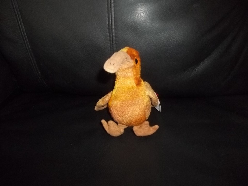Ty "Beak" The Kiwi Bird Beanie Babies Collection New With Tag | eBay