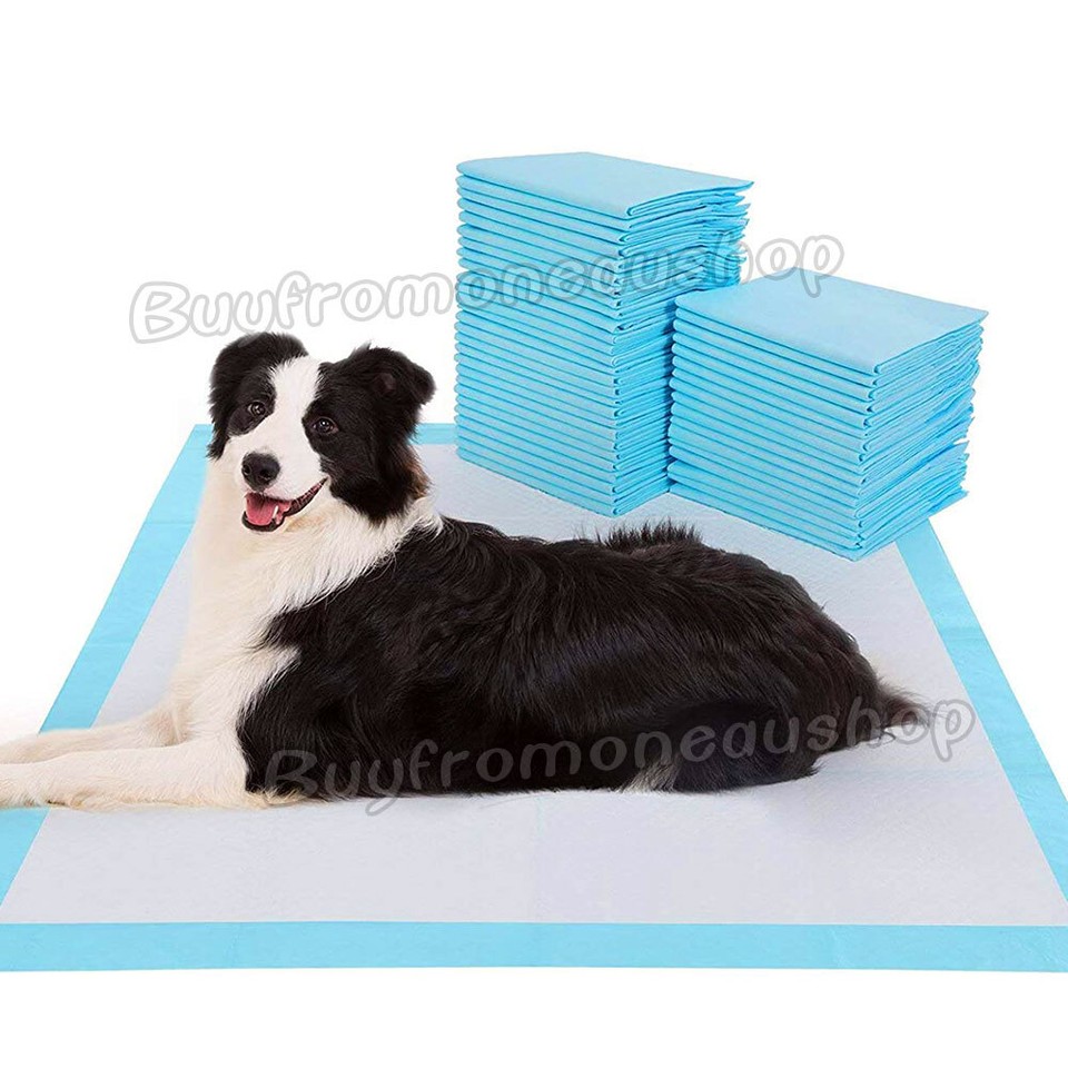 Pet Training Pads 400/200 Puppy Dog Toilet Pee Indoor Super Absorbent ...