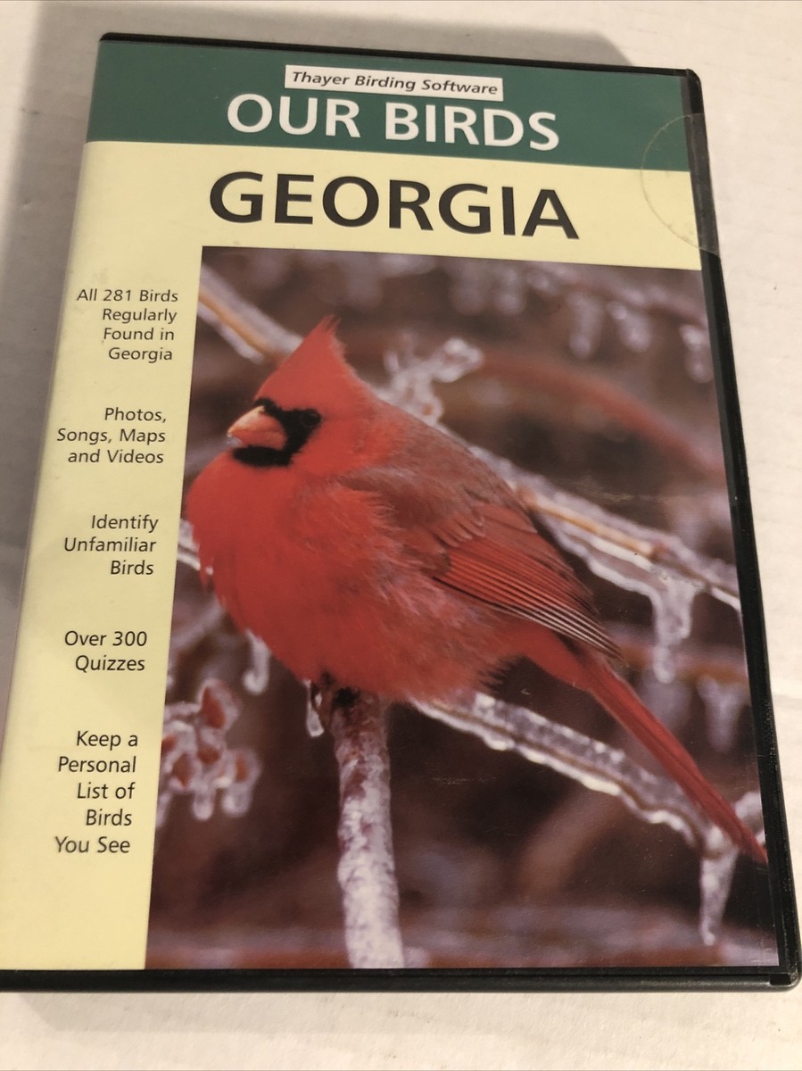 Images Of Birds In Georgia North Georgia Mountains Birds Mountain