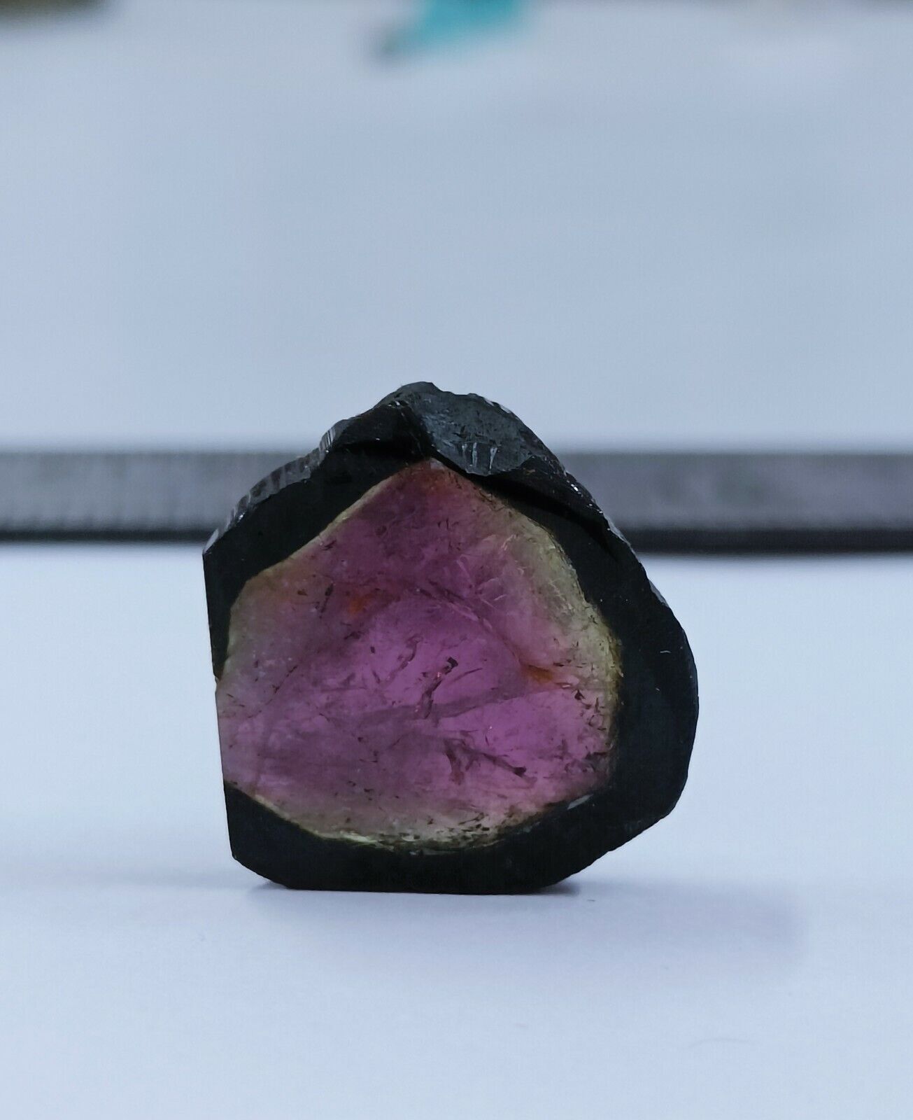 Tourmaline Bi-Color Polished Watermelon Slice 1 Pc. 20.80 Ct Natural ...