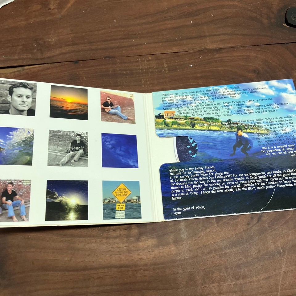 Sam Sims - Into the Blue CD 2013 Acoustic Singer-Songwriter Indie | eBay