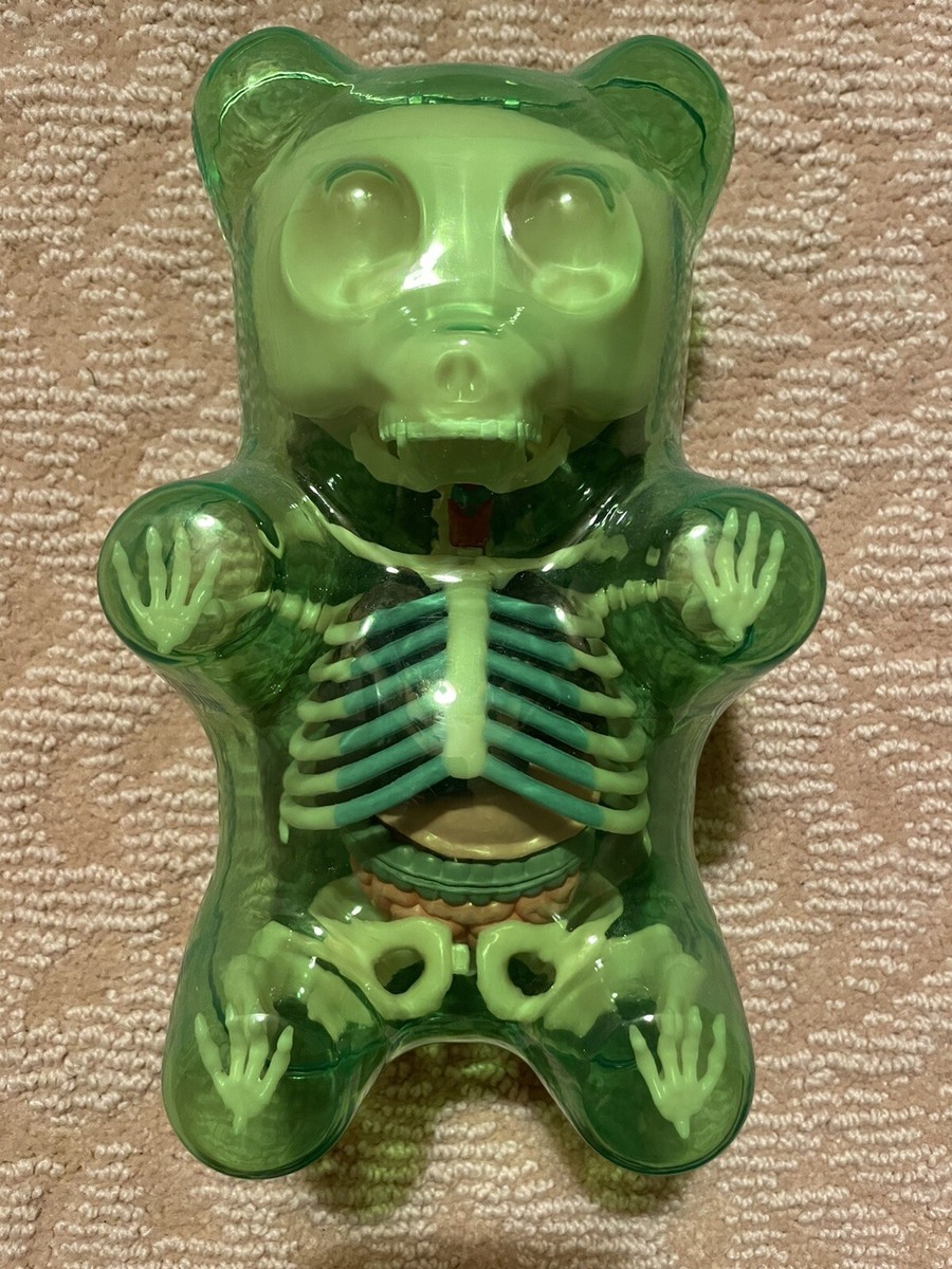 Gummy Bear Anatomy Model 4D Master Baby Gummi Bear Skeleton Model Kit